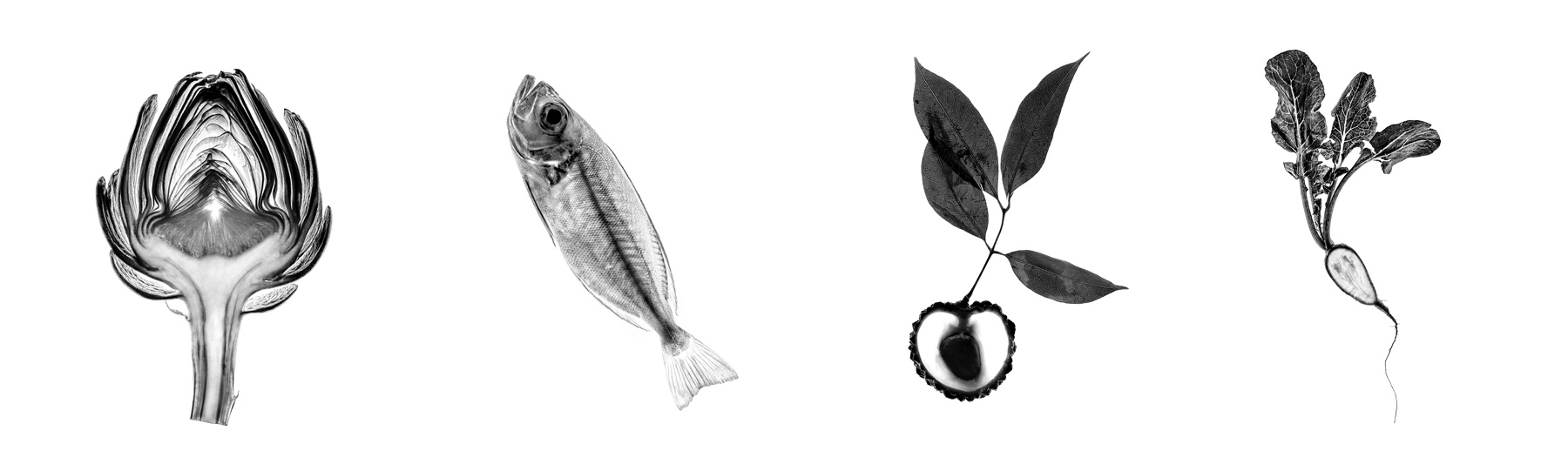 Murdoch, WA, Steakhouse | Murdoch Substance Restaurant and Bar